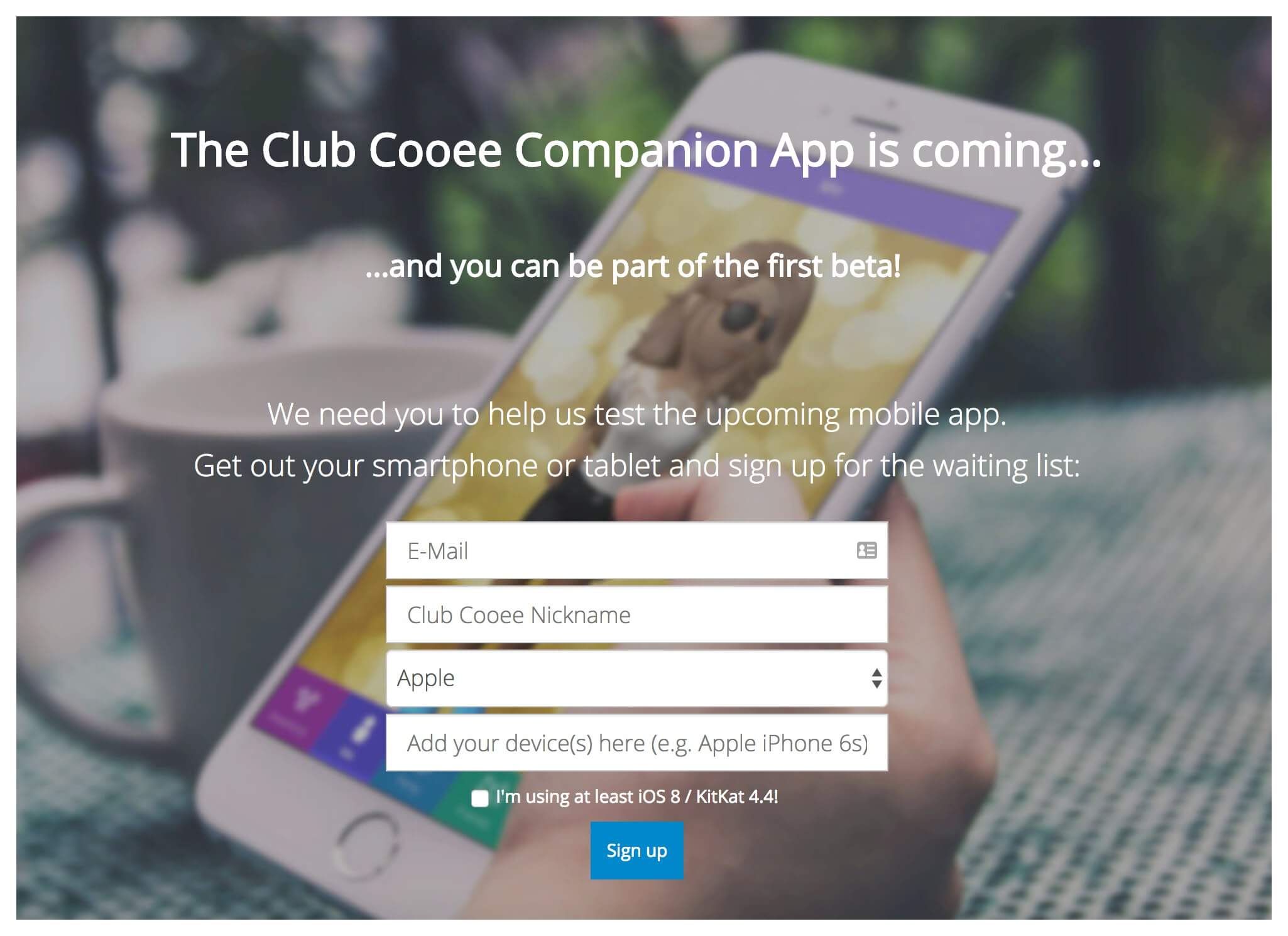 Club Cooee im Test November 2019 - ZU-ZWEIT.de